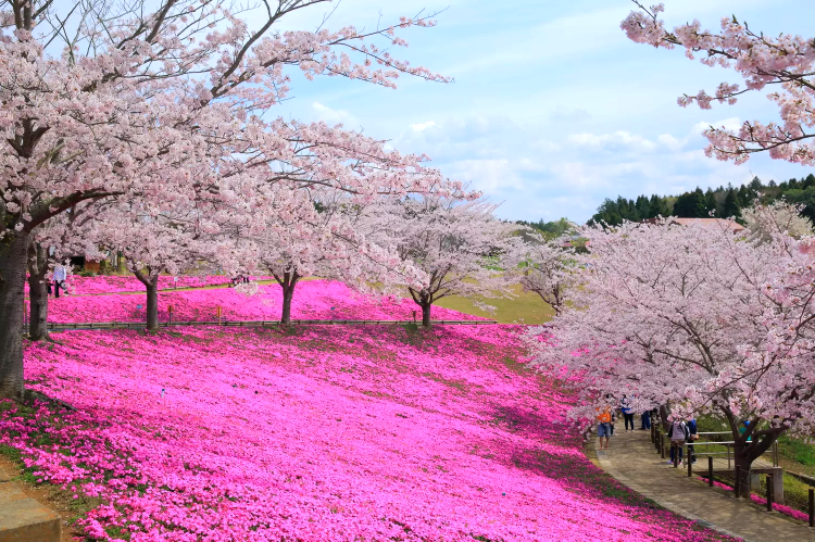 Ushiku Daibutsu At Ibraki: – BMV Digest